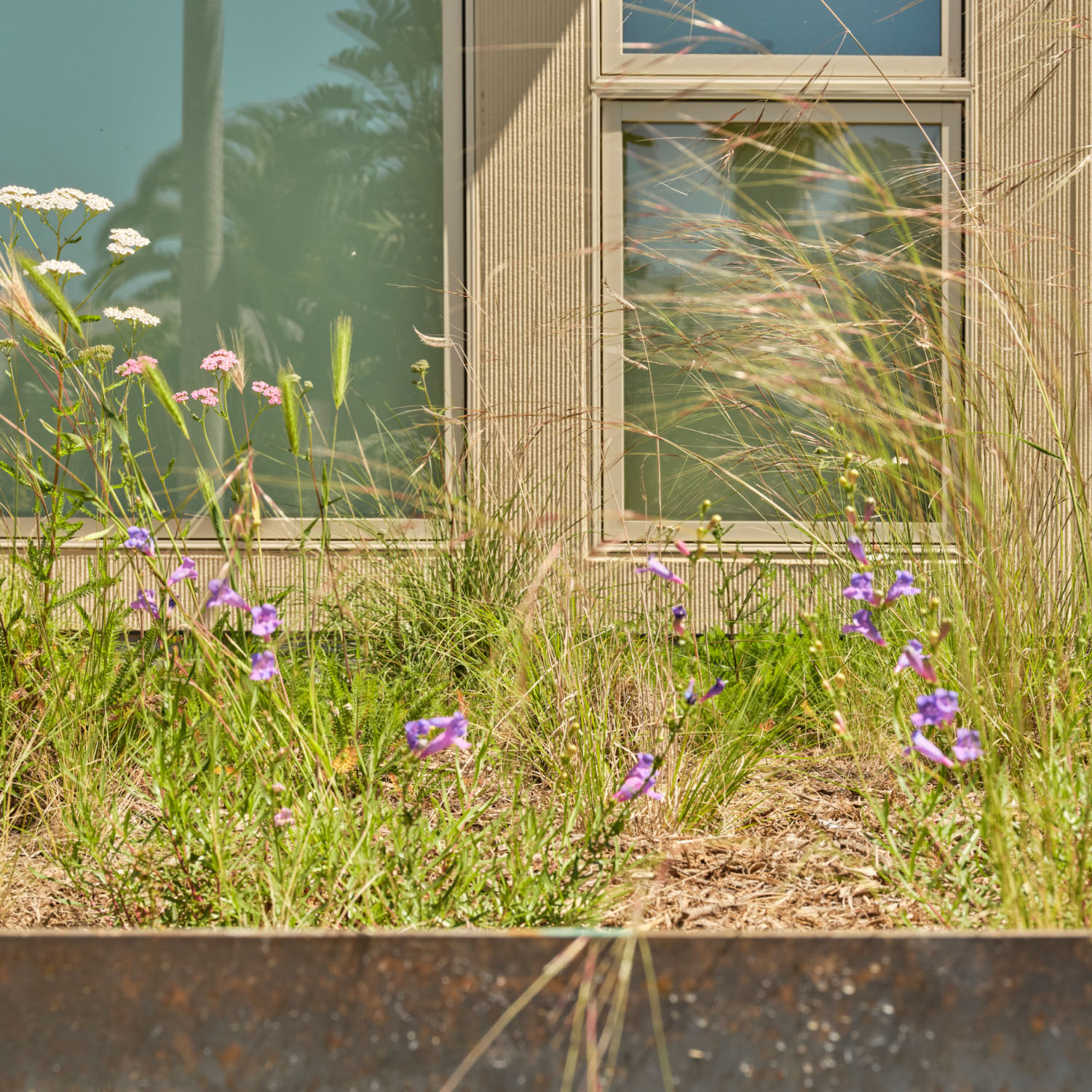 SuperLA® | Features